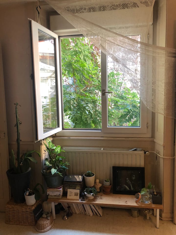Appart Calme, Avec Chat. Dans Cours Intérieure - Besançon