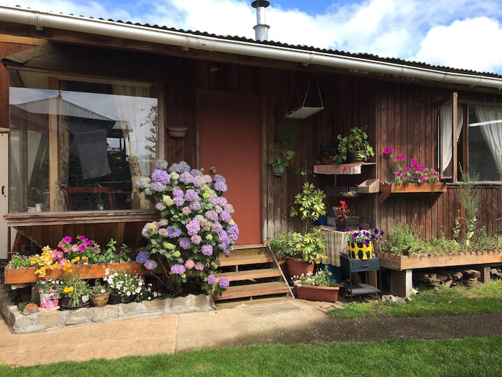 Cabane Avec Jardin Fleuri - Frutillar