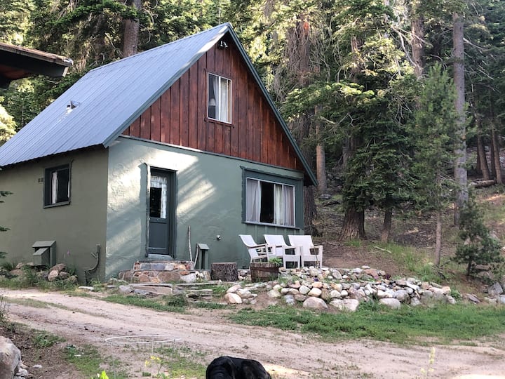 Vintage Mammoth Cabin In The Woods - Mammoth Lakes