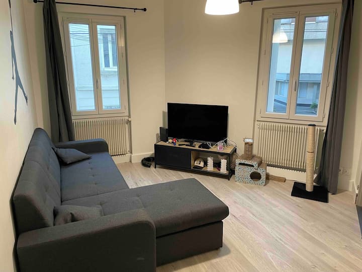 Agréable Maison De Ville En Plein Centre Ville - Agen