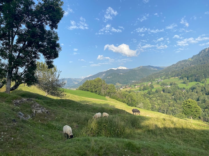 Rez De Jardin Vue Mont-blanc - Crest-Voland