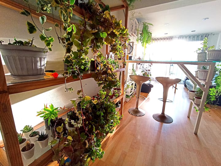 Cosy And Full Of Plants Apartment - Arequipa