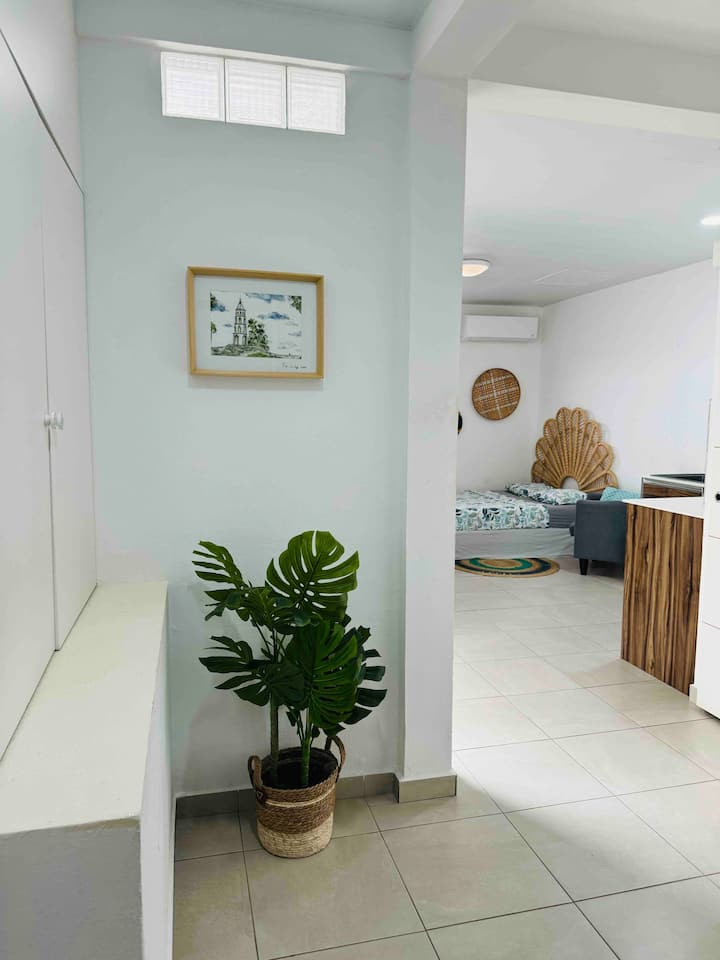 Grand Studio Avec Balcon - Cayenne