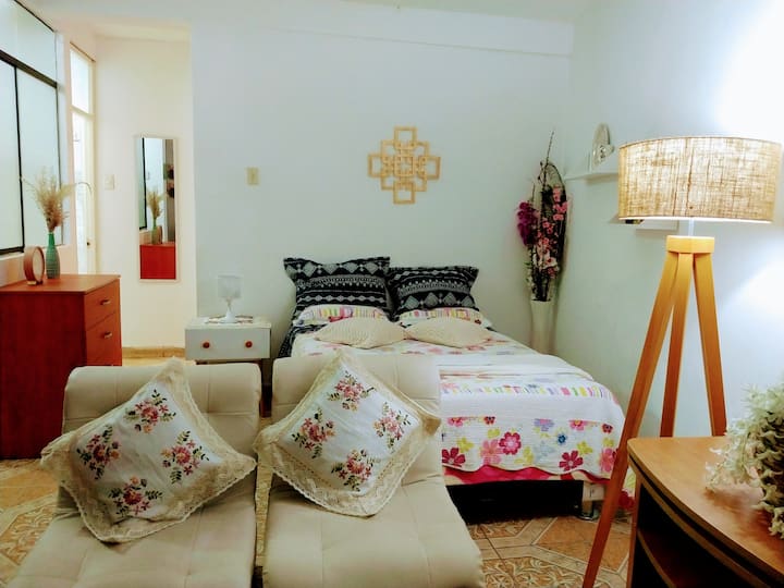 1° Piso Centro Histórico 12 Huéspedes + Cochera - Ayacucho