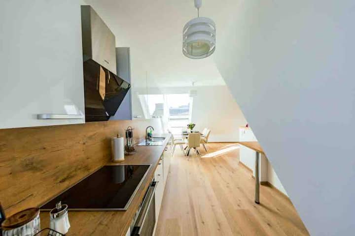 New Design Penthouse _27 - Viena