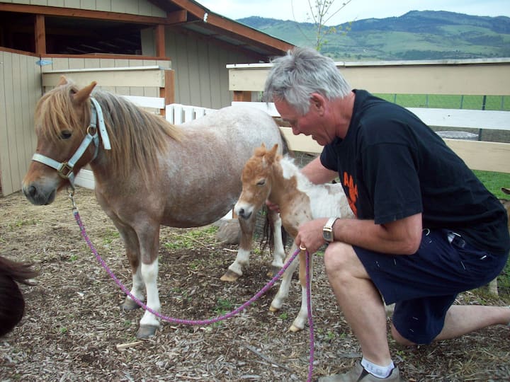 Peace And Joy Mini Farm - Ashland, OR