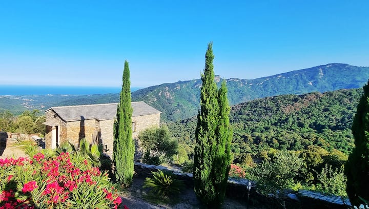 Domaine Colonna-santini. Gite  Piscine Sauna Spa - Corse