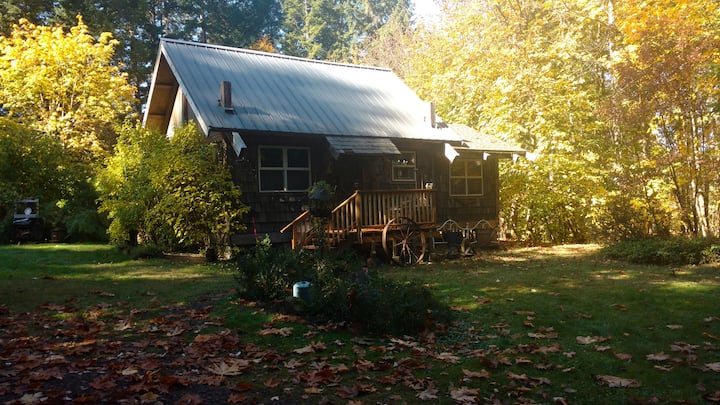 Cowboy Cabin at Tired Dog Ranch - Cabins for Rent in Westfir, Oregon ...