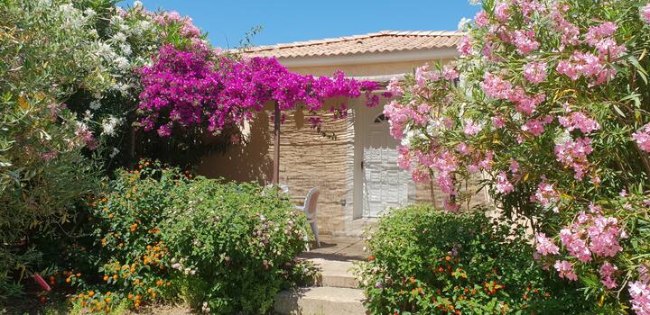 Corsica Love Mini-villa Moriani 500m Mer 3 Pers. - Corsica