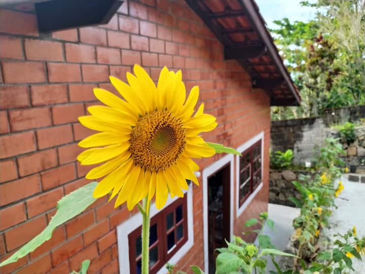 Casa Na Ilha Com Aconchego De Campo E Vista P/ Mar - Ilhabela