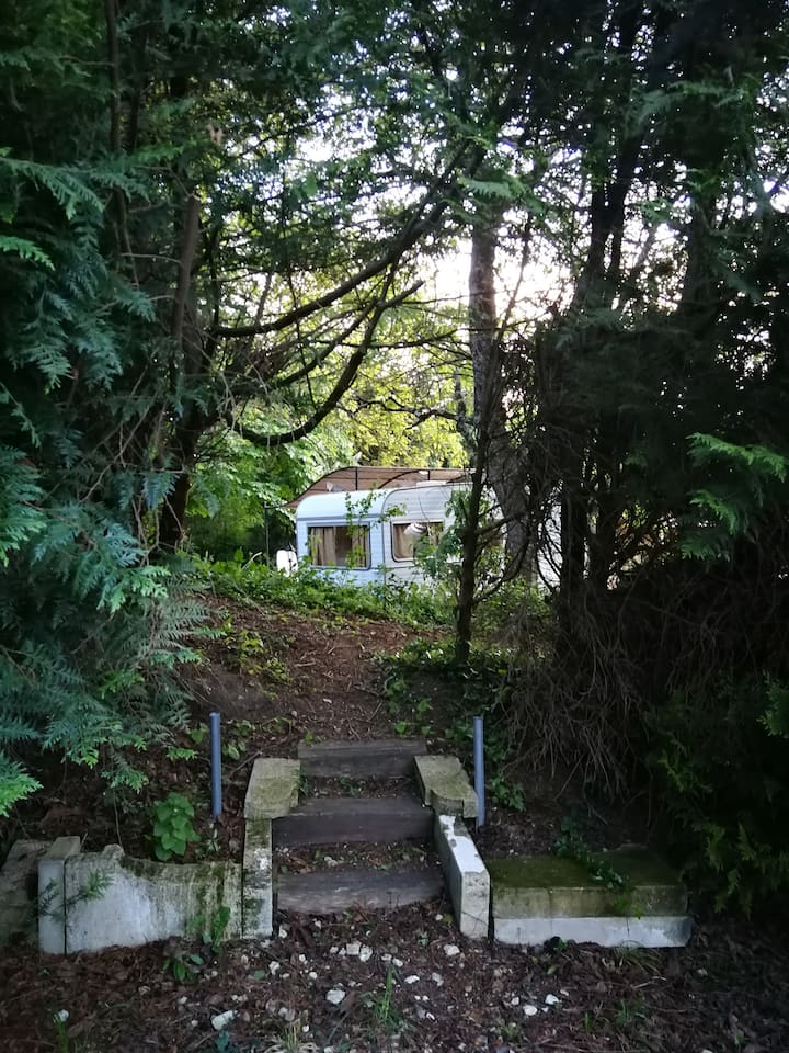 La Petite Caravane De Cumelle - Montsoreau