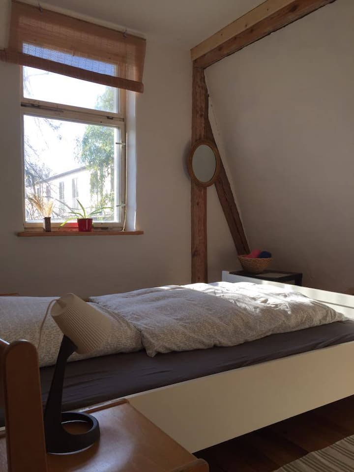 Ruhiges Zimmer Mit Lindenblick Am Elberadweg - Magdeburg