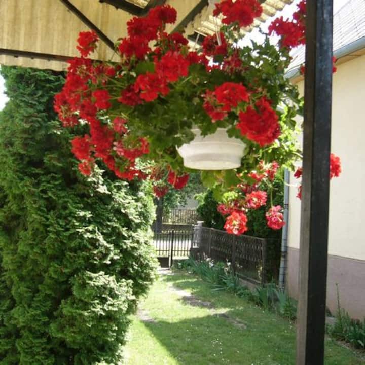 Teddy Bear House Balatonföldvár - Tihany