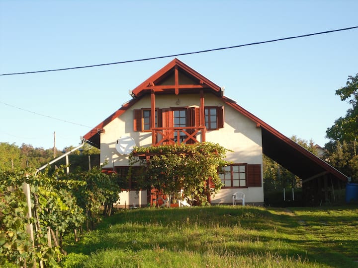 Urlaubsdomizil Obstberg, 3 Und Mehr Gäste - Lake Balaton