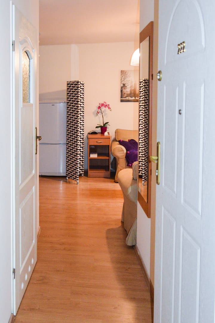 Apartament Dwupoziomowy W Centrum Krakowa - Krakow