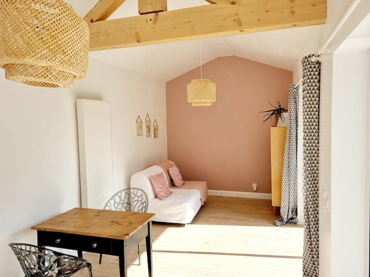 Studio De Jardin Indépendant Avec Piscine - Feurs