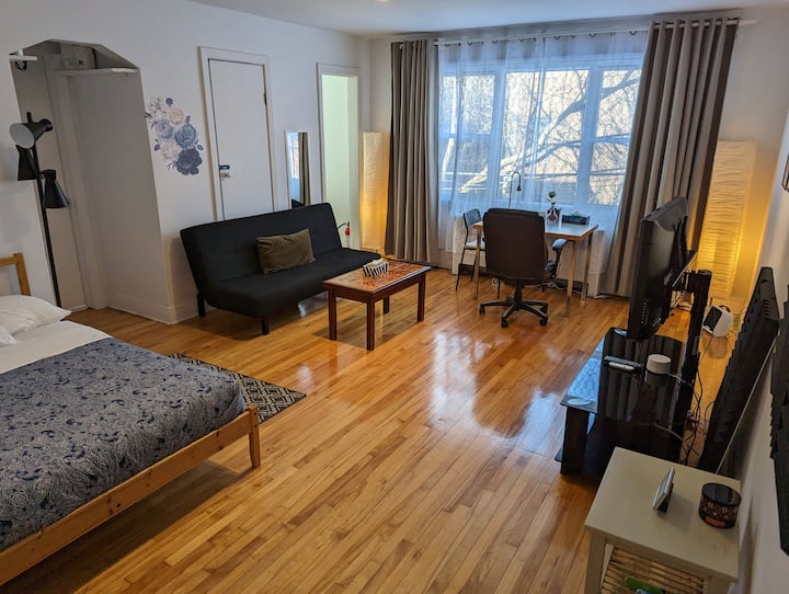 Large Studio Clean/safe Polytechnique Université M - Montreal