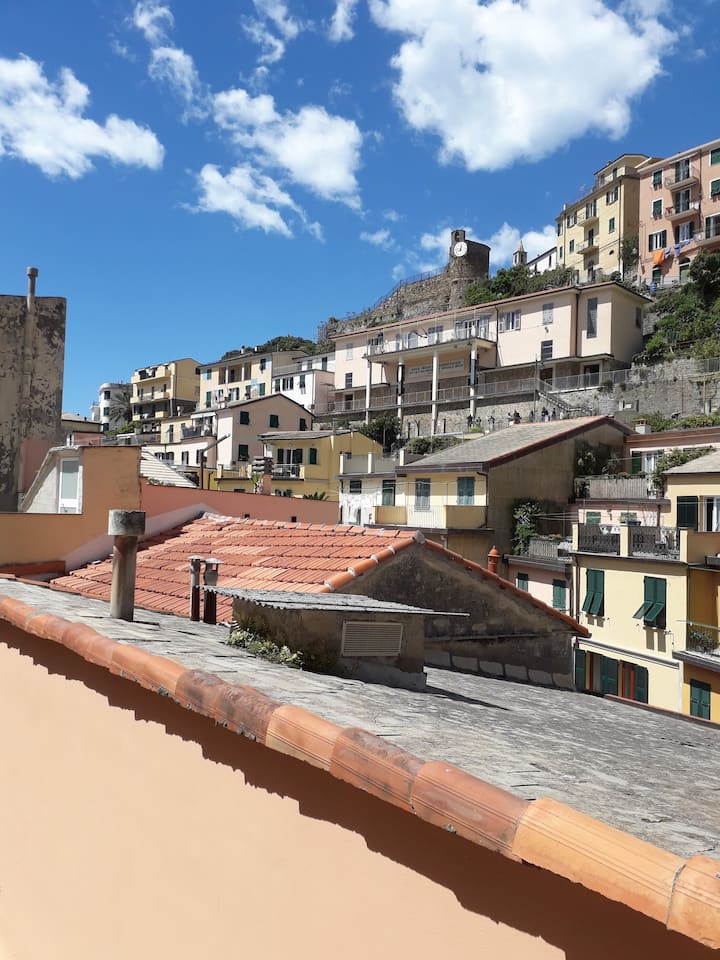 La Casa Sui Tetti - Manarola