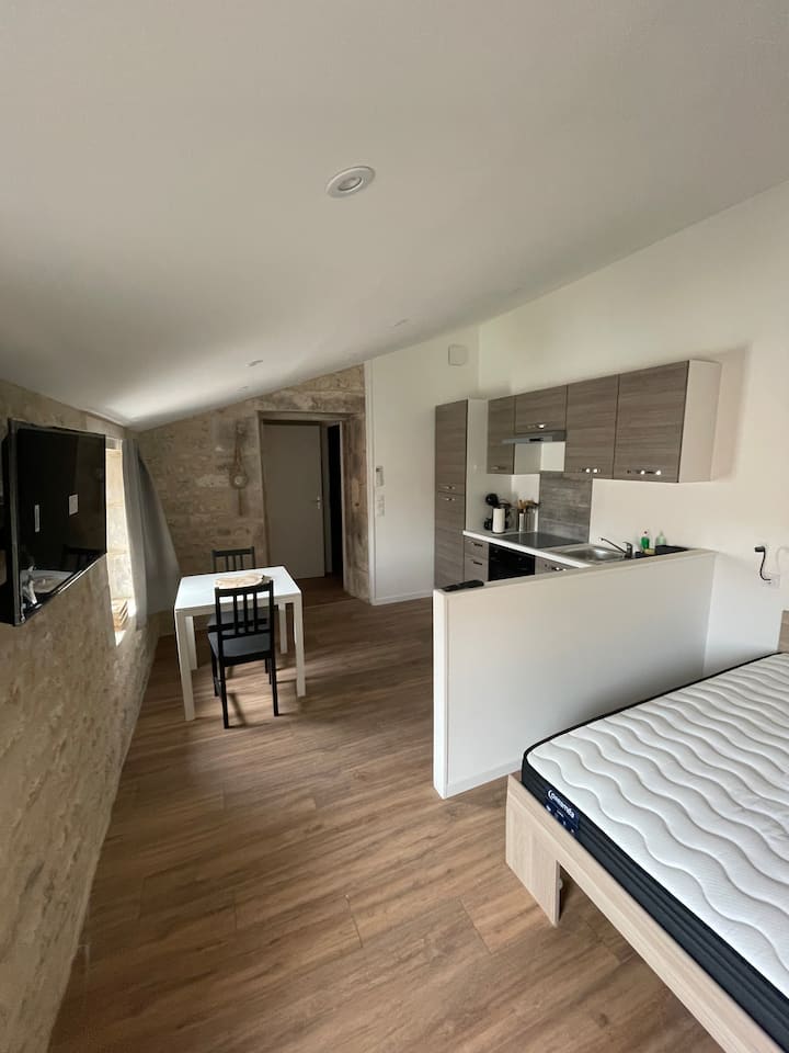 Studio Dans Le Centre Bourg - Marais poitevin