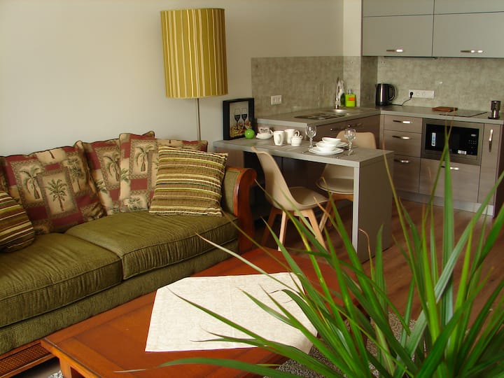 Large Cosy Studio Apartment, Fast Wi-fi - 리가