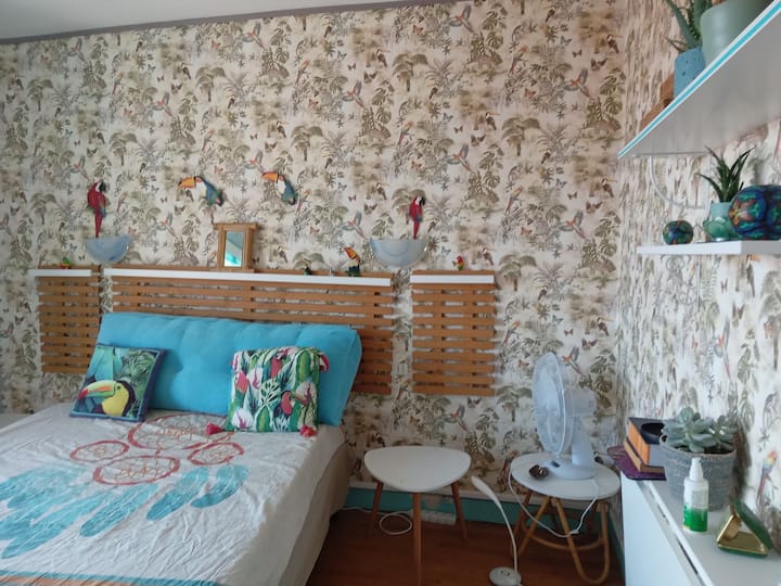 Grande Chambre Claire - Toulouse
