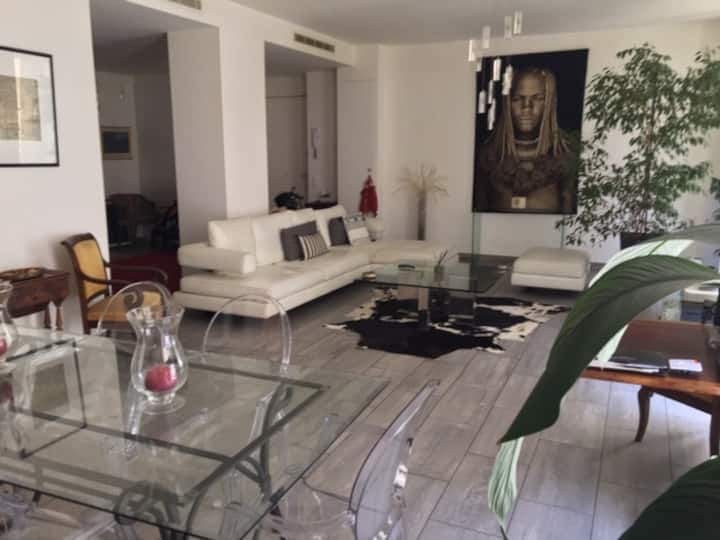 Logement Spacieux Hyper Centre - Nicea