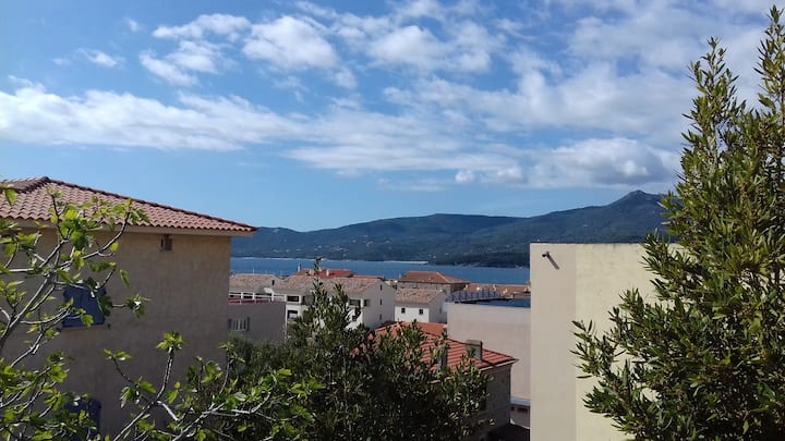 Petit T2 Centre-ville Vue Mer Propriano - Propriano