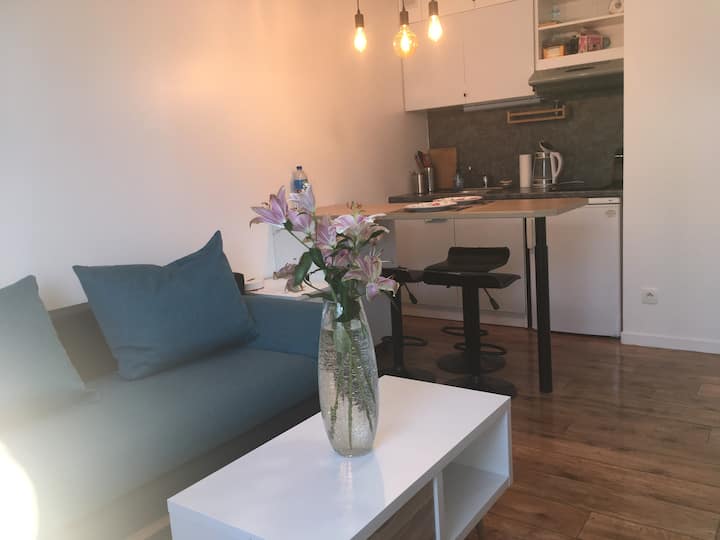 Studio Renové 22m2 Disney, Val D'europe, Paris - Montévrain