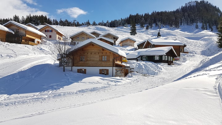 Alpenchalet Garfrescha  - Direkt An Der Skipiste - Montafon