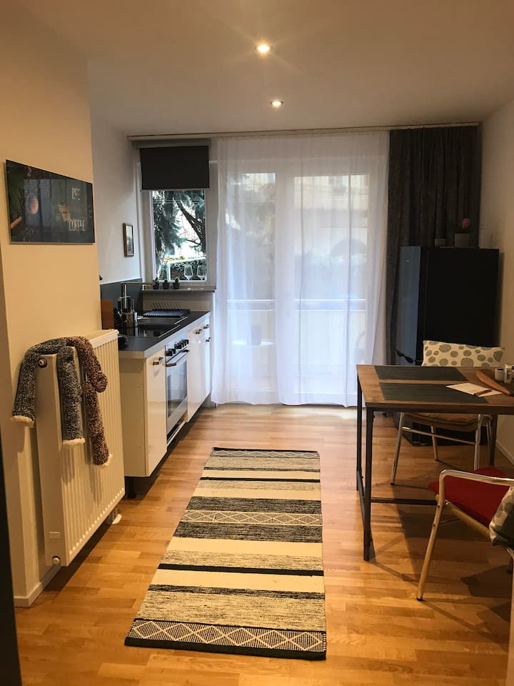 Wohnung Stadtmitte Würzburg, Küche, Balkon. - Würzburg