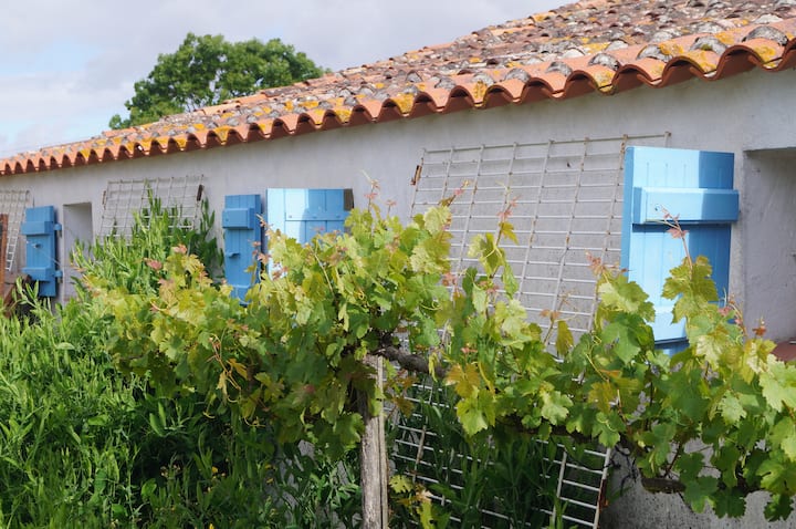 Promo - 5' De La Mer Maison De Charme + Spa - Longeville-sur-Mer