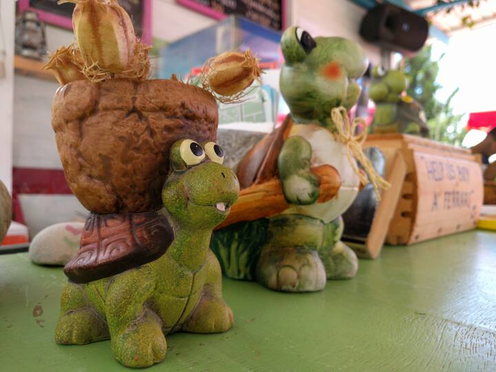 The Sea Turtle Camping Dhërmi - Himarë