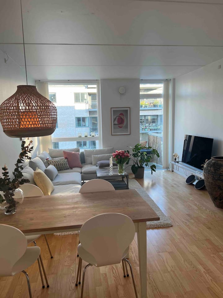 Skøn Og Lys Lejlighed I København - Copenhague