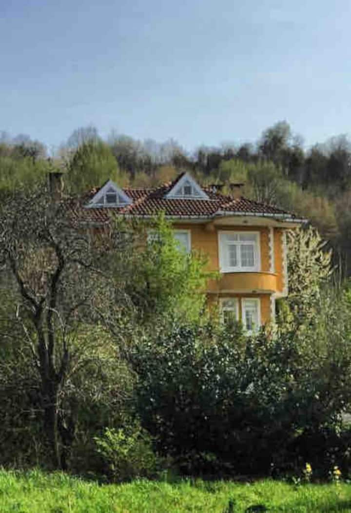 Doğa’nın Içinde Huzur Bulabileceğiniz Rahat Bir Ev - Beykoz
