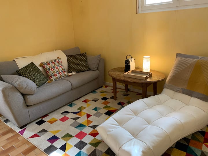 Jolie Maison Familiale A Ronce Les Bains. - Ronce-les-Bains