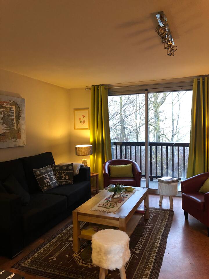 Spacieux Duplex T3 Balcon - St-lary - 6 Personnes - Saint-Lary-Soulan
