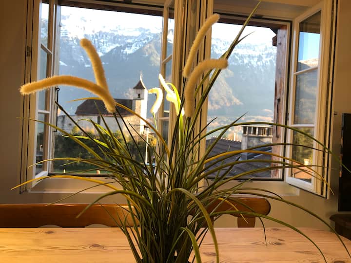 Ausfinn-apartments, Castle Apartment, Studio - Habkern