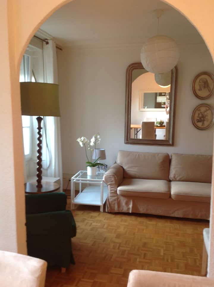 Cosy Apt In The Center Of Geneva - Carouge