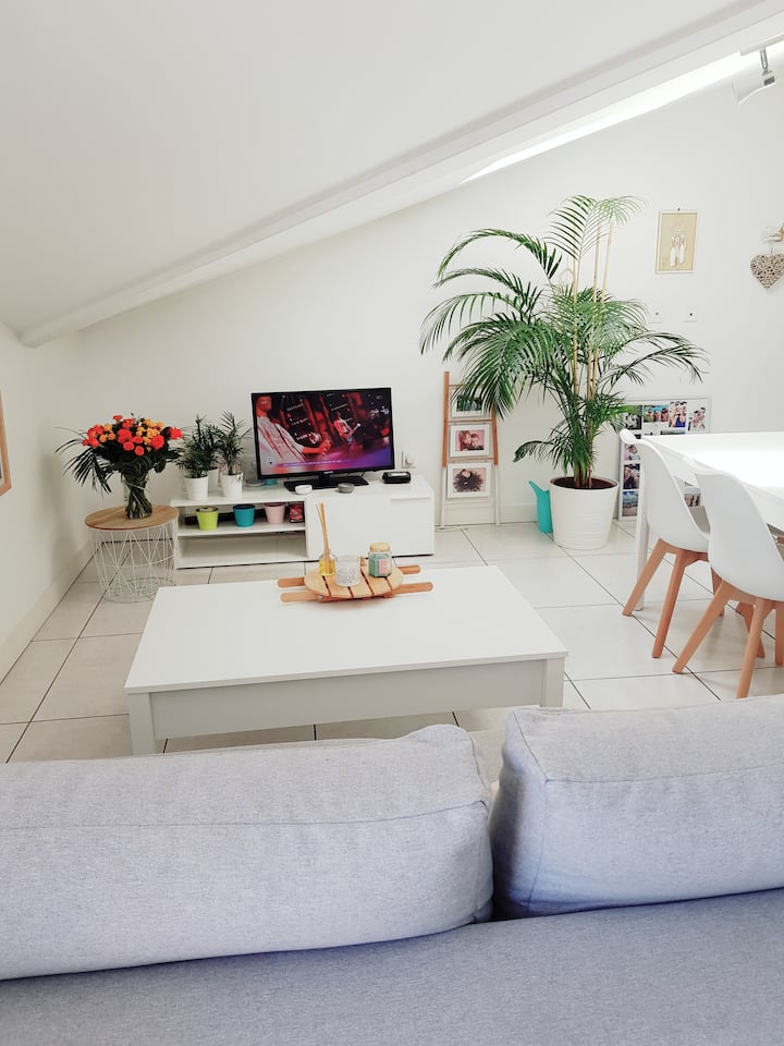 Chaleureux Appartement Proche De L'océan - Anglet