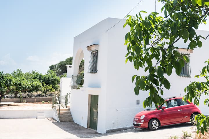 Olive House - Martina Franca