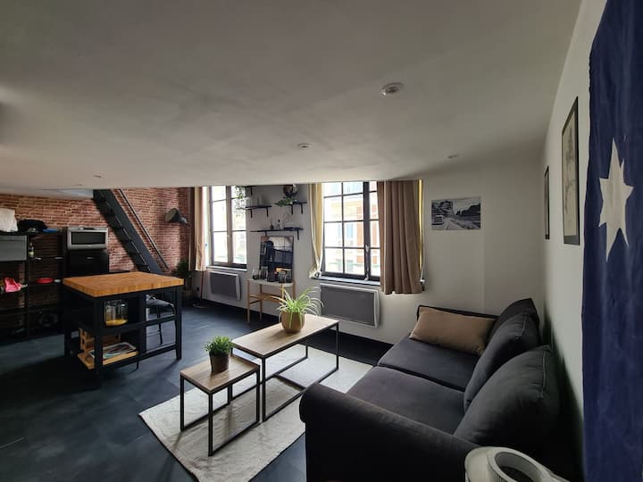 Loft Vieux Lille - Lille