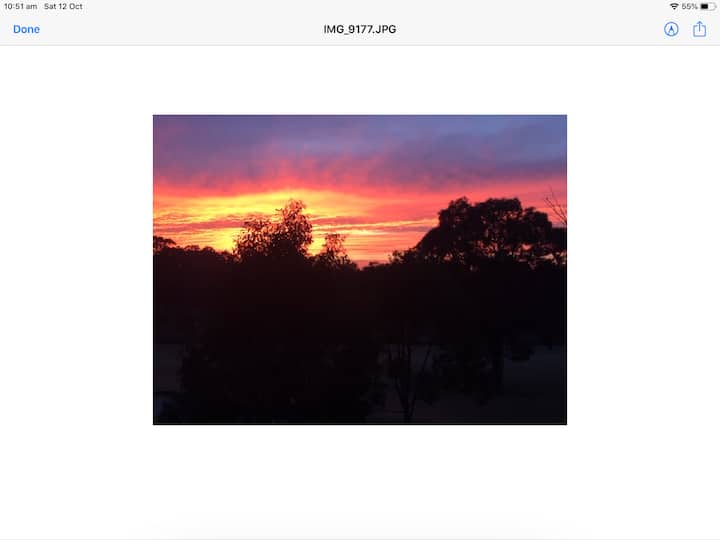 Beautiful Flat - Blacktown