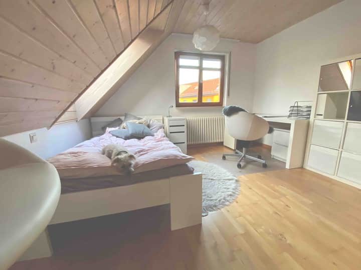 Gemütliches Komfortzimmer In Heidelberg - Heidelberg