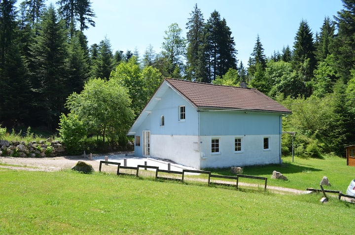 Charmante Maison Spacieuse Belle Déco 2sdb 2wc - Gérardmer