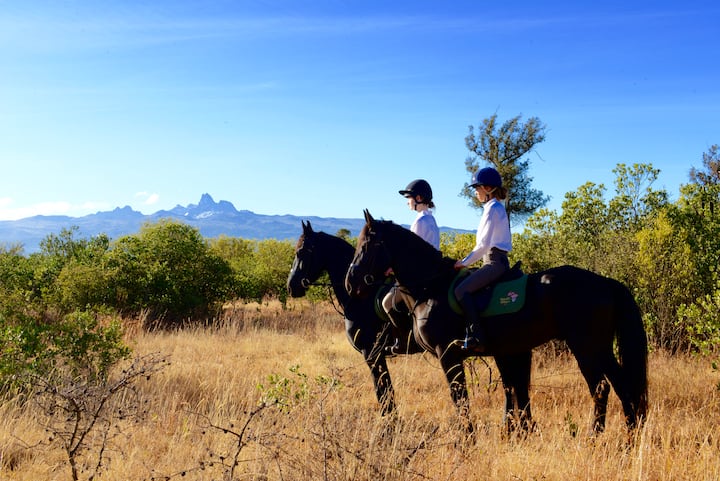 5 Best Ranches To Stay In Laikipia County, Kenya | Trip101