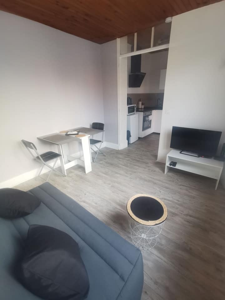 Charmant Appartement Avec Cour/terrasse - Vichy