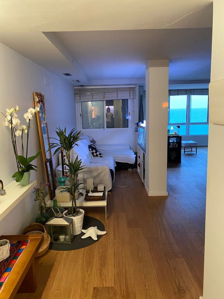 Presidente Quinto - El Puig