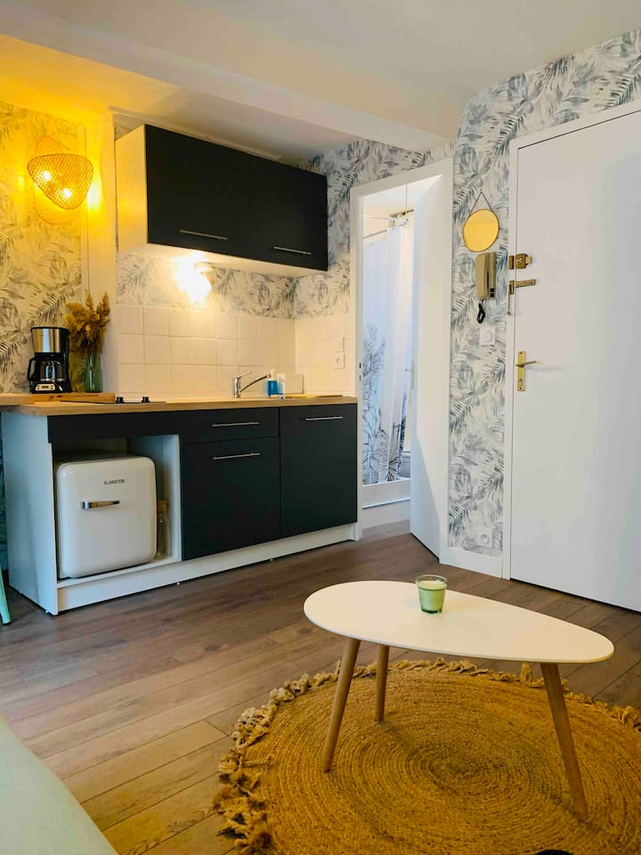 Caen : Petit Cocon Hyper Bien Placé - Caen