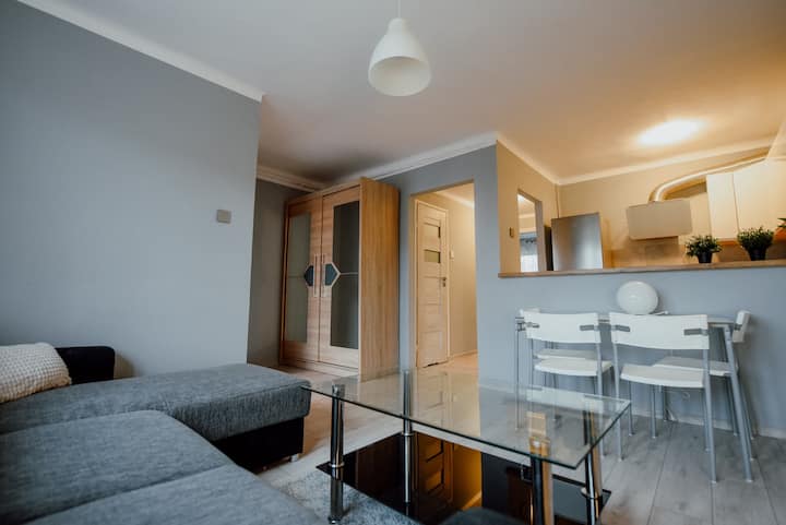 High Standard(i) -University District - 羅茲