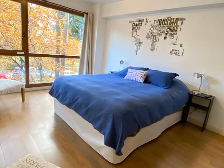 Moderno Studio En El Centro De Bariloche - Bariloche